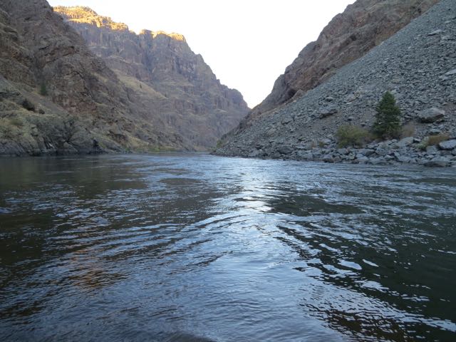 Reciprocity: Giving Back to What Gives to Us – Kingfisher Journey ...