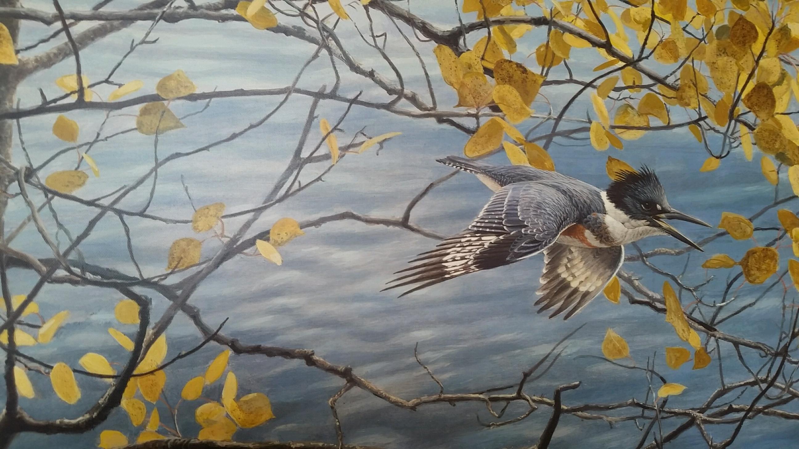 What Makes a Halcyon Day? – Kingfisher Journey- Marina Richie