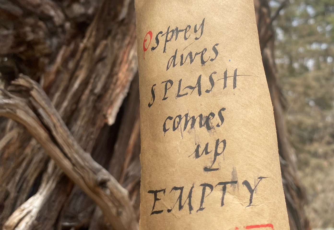 Calligraphy of the River Poet – Kingfisher Journey- Marina Richie